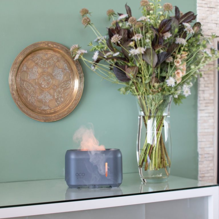 OCO Life Ultrasonic Diffuser, Humidifier & Purifier 120ml with 3 x 100% ...